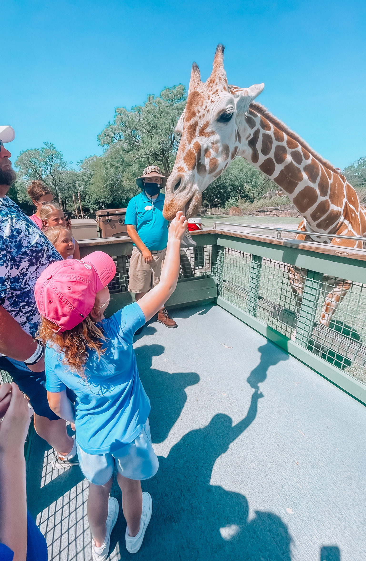St. Pete Beach: Spring Break 2022 | Showit Blog