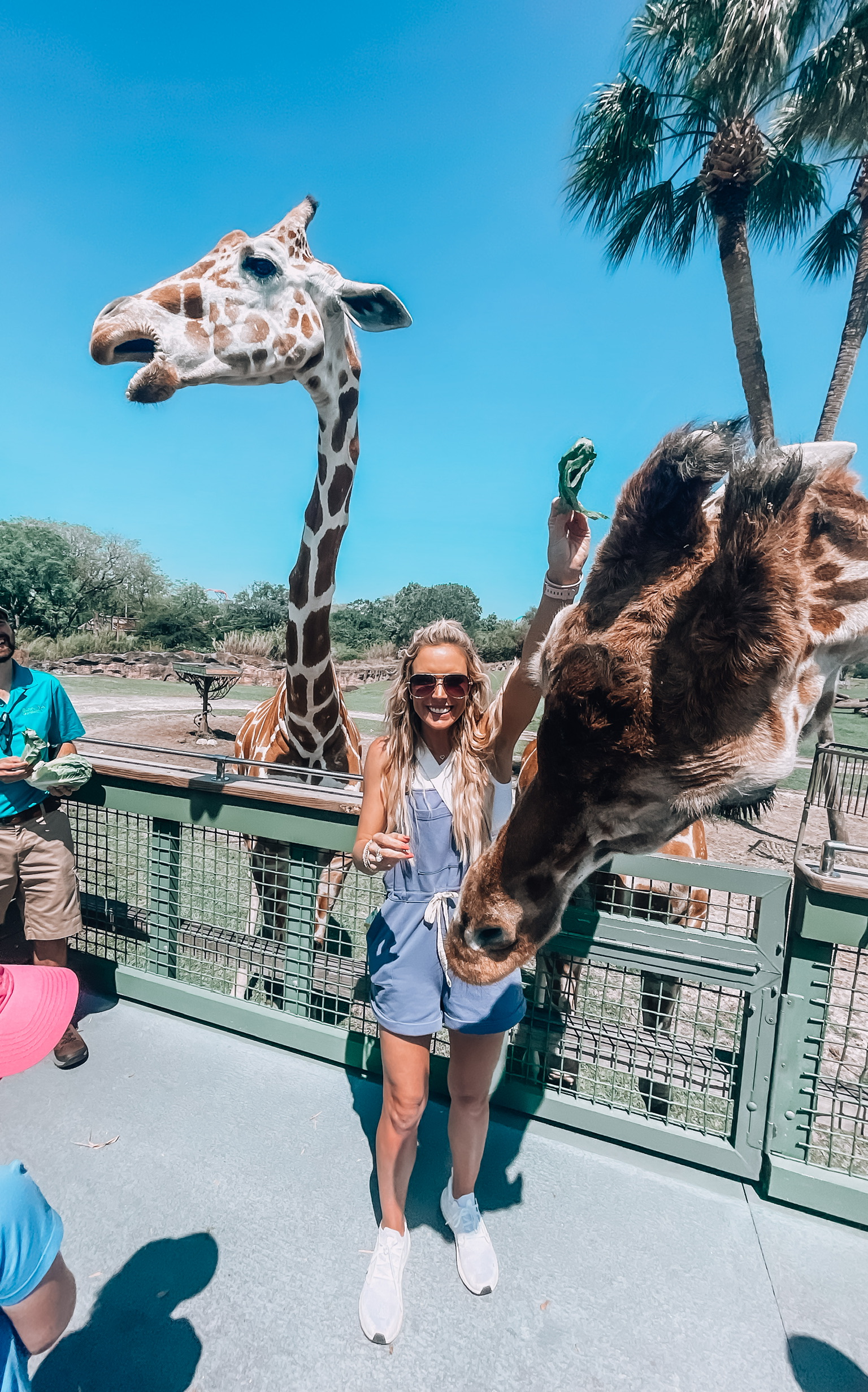 St. Pete Beach: Spring Break 2022 | Showit Blog